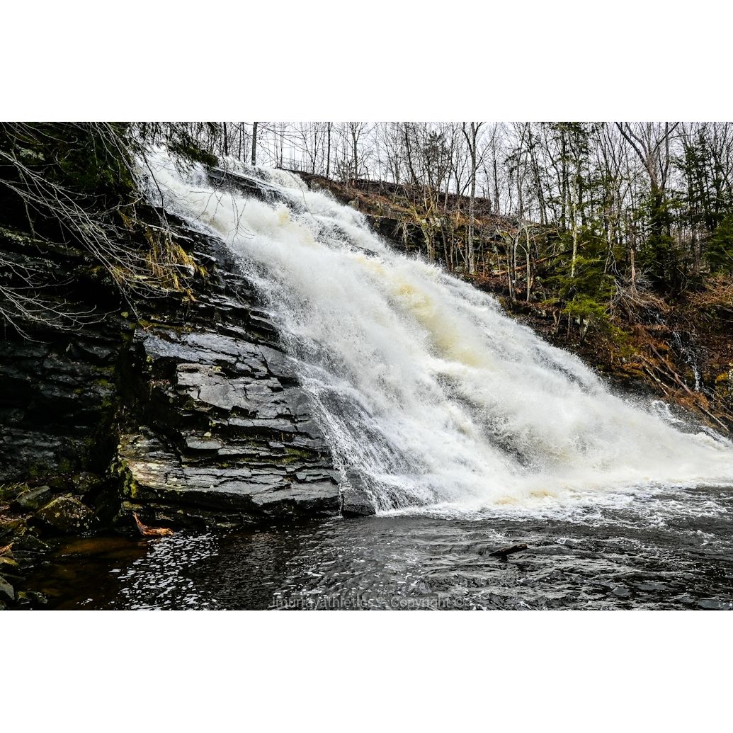 Exploring Barberville Falls Preserve - JMURRAYATHLETICS